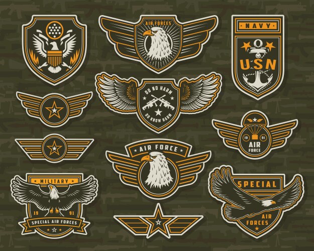 Army air forces airborne units badges and chevron Vector Image