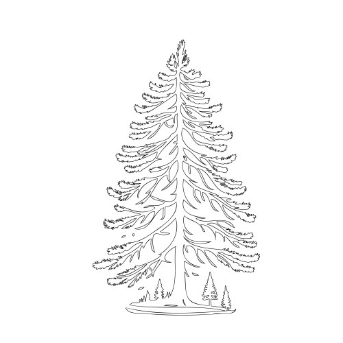 Pine tree nature outline sketch Royalty Free Vector Image