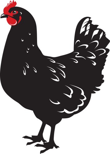 Chicken Vector Images (over 220,000)