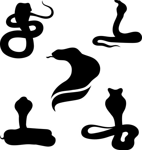 Cobra Vector Images (over 11,000)