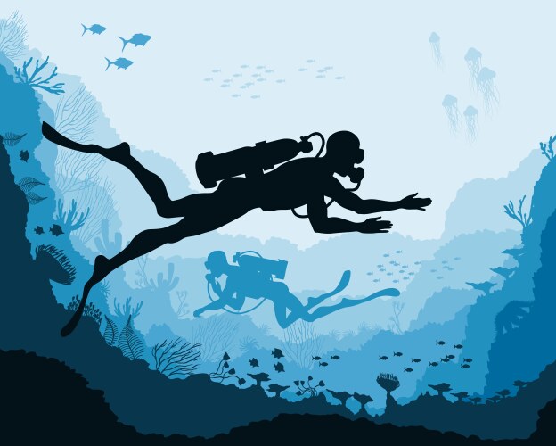 Divers and sharks reef underwater wildlife Vector Image