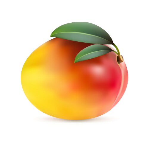 Mango Vector Images (over 22,000)