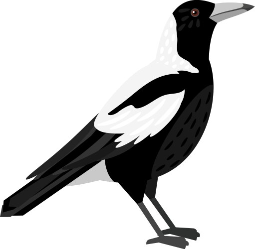 Cartoon magpie Vector Images & Graphics for Commercial Use | VectorStock