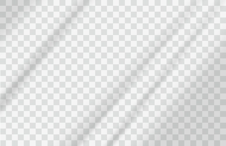 Shadow overlays on transparent background Vector Image