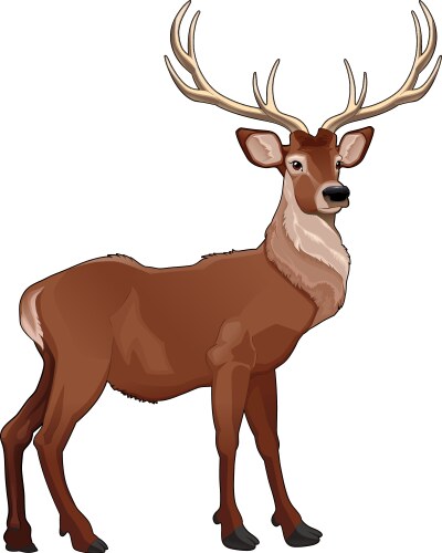 Deer Cartoon Vector Images Over 49 000