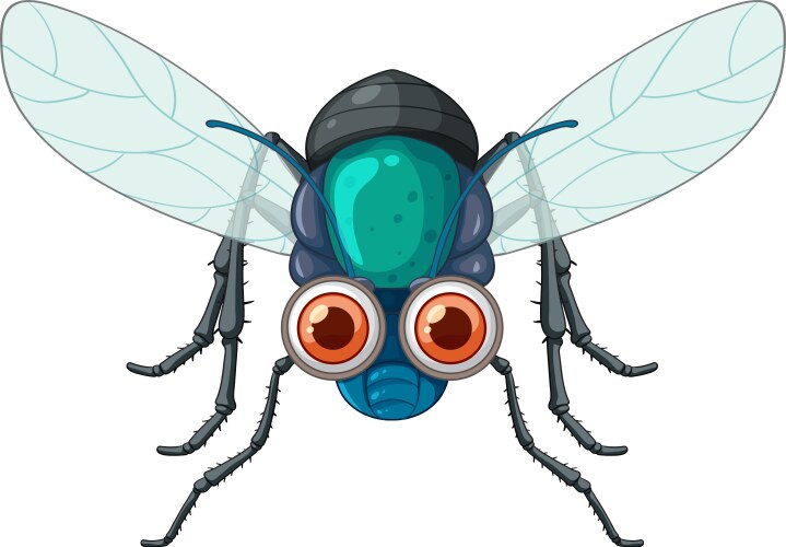 Cute little cartoon flies Royalty Free Vector Image