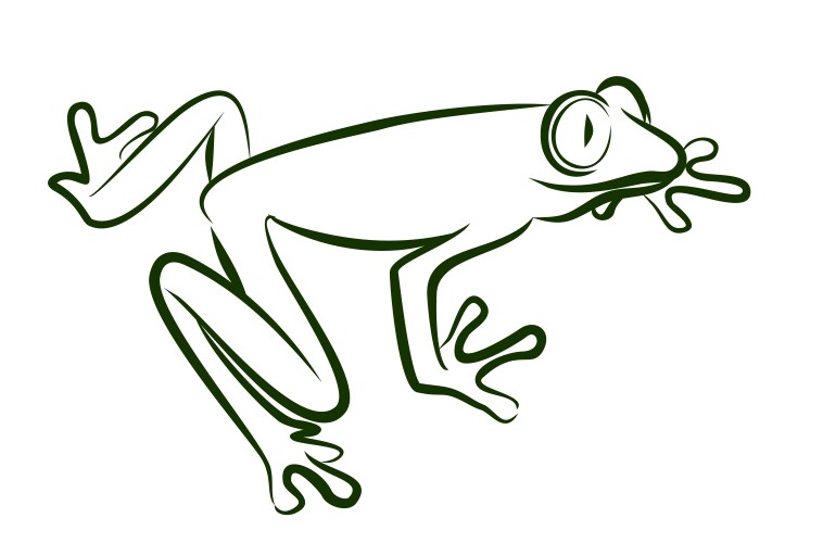 Frog line art drawing Royalty Free Vector Image