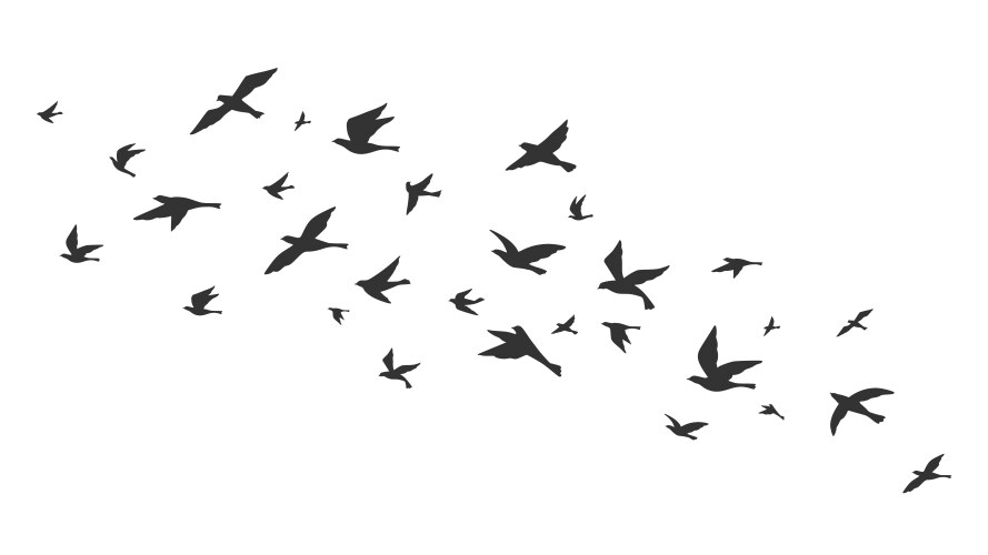 Flight Vector Images (over 350,000)