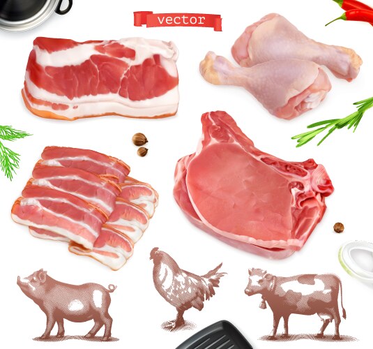 Meat Vector Images (over 350,000)
