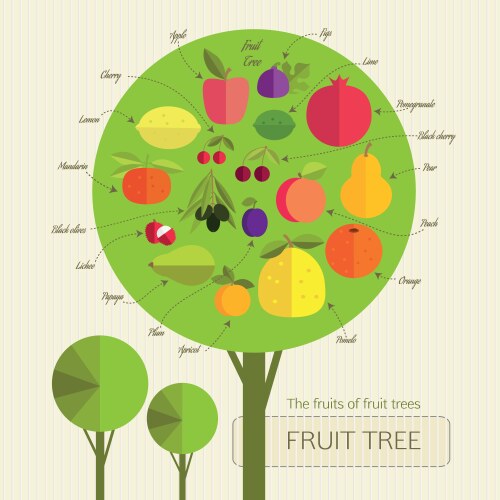 Fruit Tree Vector Images (over 63,000)