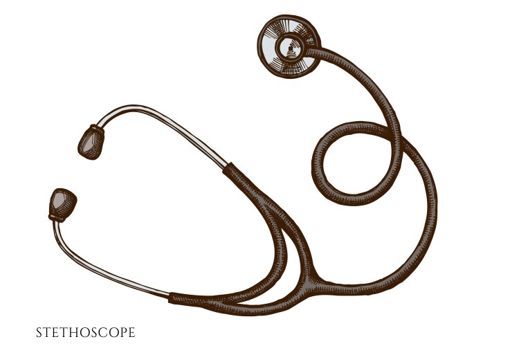 Stethoscope isolated Royalty Free Vector Image