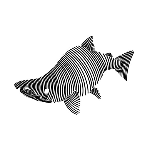 Simple line art of arapaima fish 2 Royalty Free Vector Image