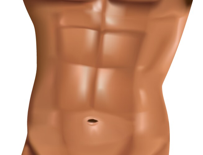 Muscles Vector Images (over 140,000)