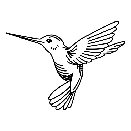 Hummingbird Outline Vector Images (over 2,900)