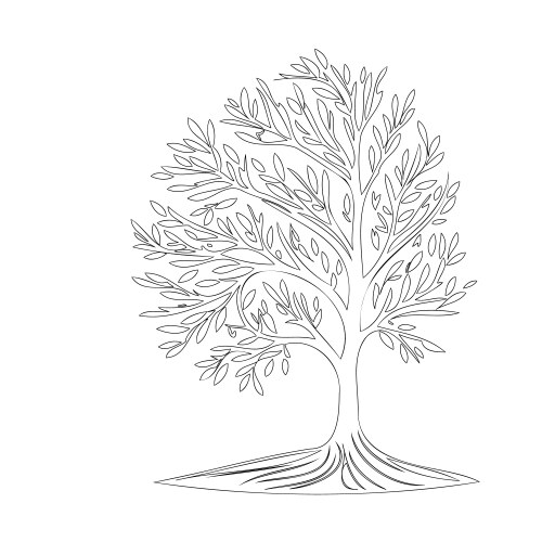 Willow tree nature outline sketch Royalty Free Vector Image
