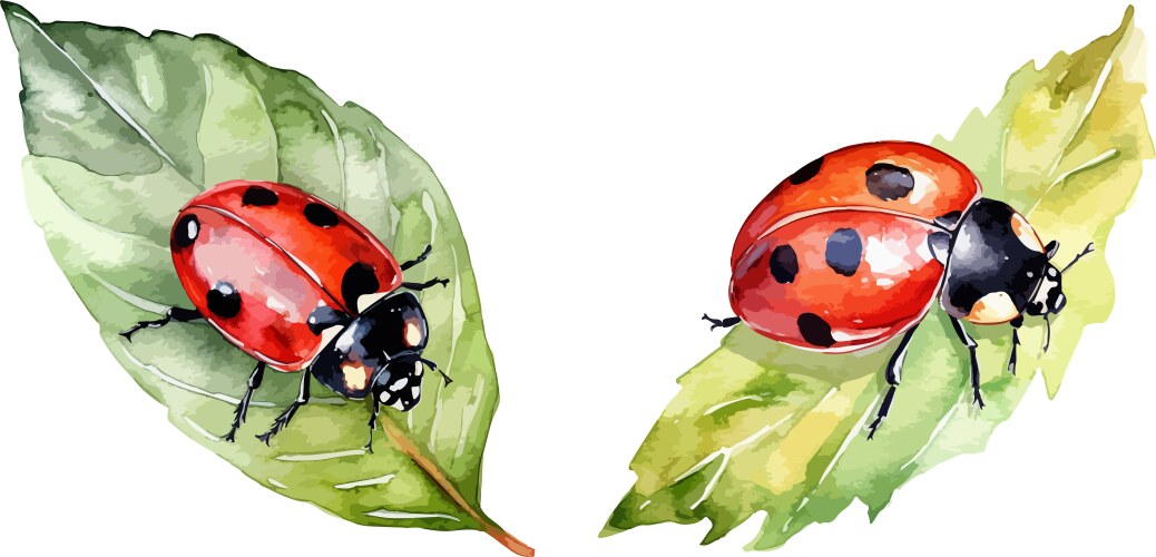 Ladybug Clipart Vector Images (over 1,000)