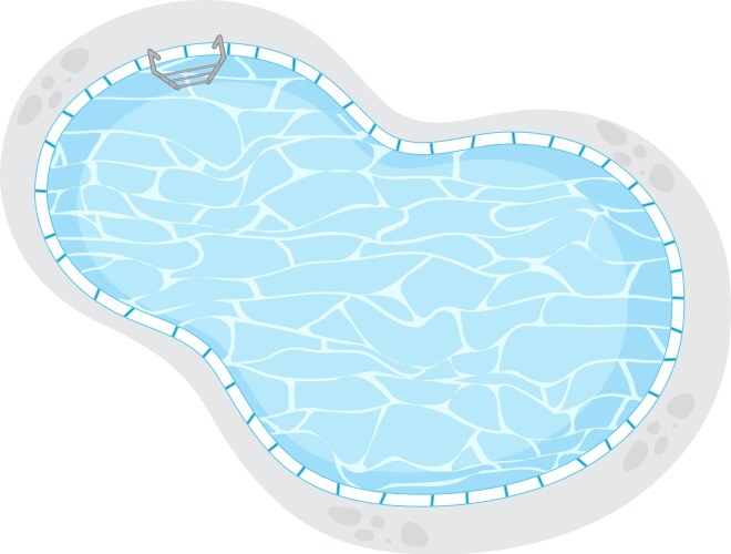 Top view swimming pool on white background Vector Image
