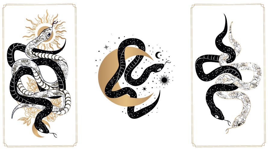 Magic snake tarot cards occult esoteric Royalty Free Vector