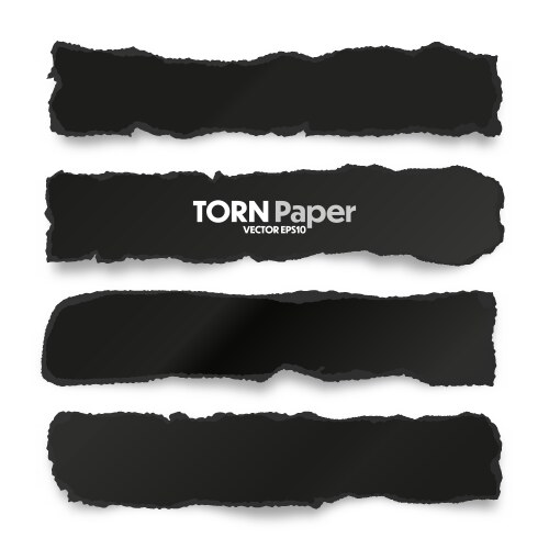 Realistic black ripped paper on transparent Vector Image