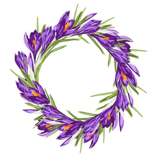 Purple crocus flower wreath Royalty Free Vector Image
