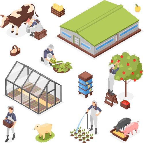 Isometric farm in village elements for game Vector Image