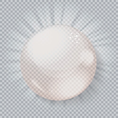 Realistic transparent ball isolated object Vector Image