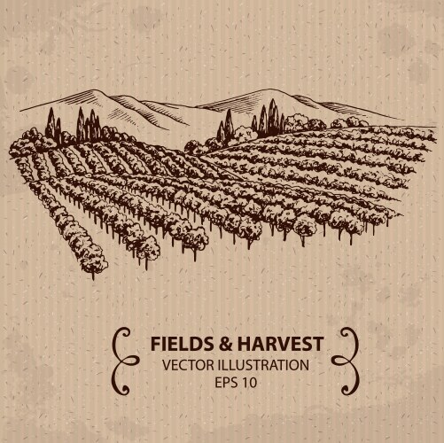 Olive Tree Drawing Vector Images (over 4,500)