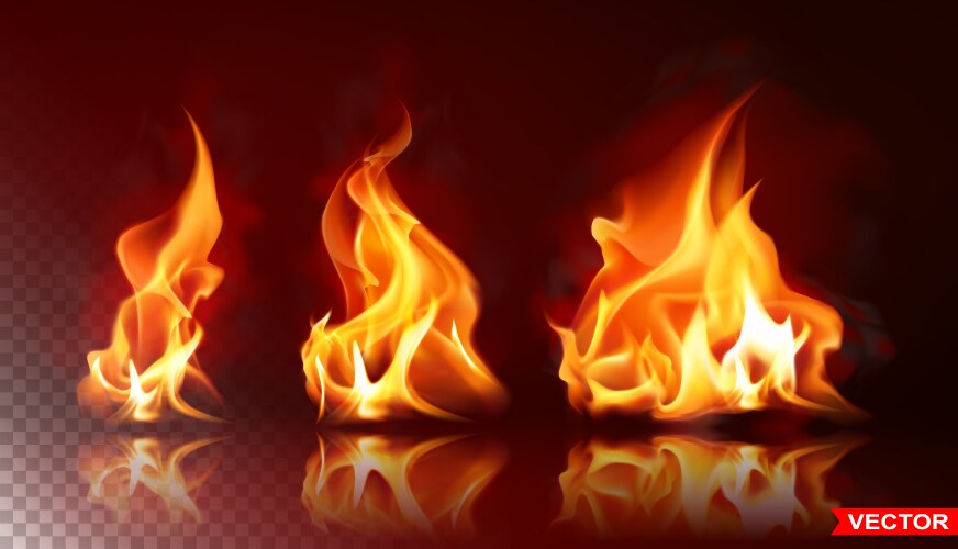 Burning flames background Royalty Free Vector Image