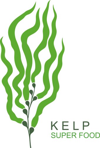 Aquarium ocean undersea corals seaweed silhouette Vector Image