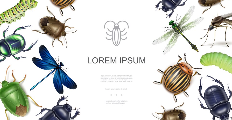 Insects Vector Images (over 240,000)