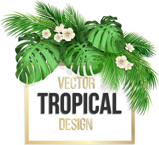 Tropical leaves in a corner Royalty Free Vector Image