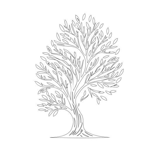 Willow tree nature outline sketch Royalty Free Vector Image