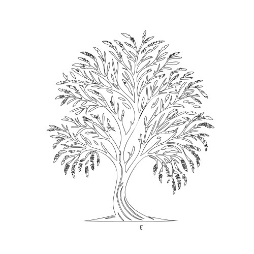 Willow tree nature outline sketch Royalty Free Vector Image