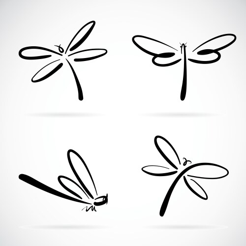 Dragonfly Royalty Free Vector Image - VectorStock
