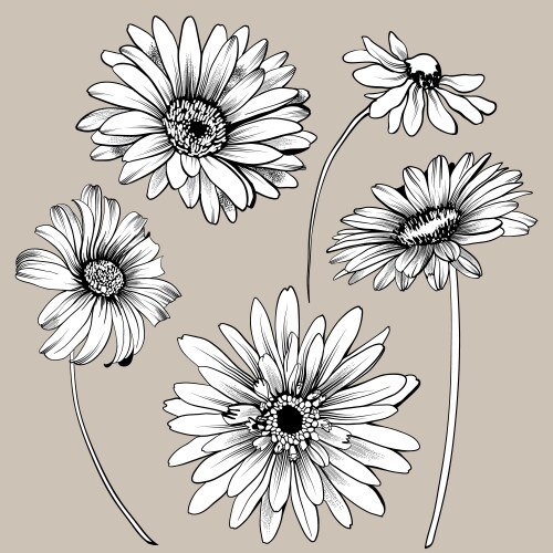 Floral background in spring colors flowers Vector Image