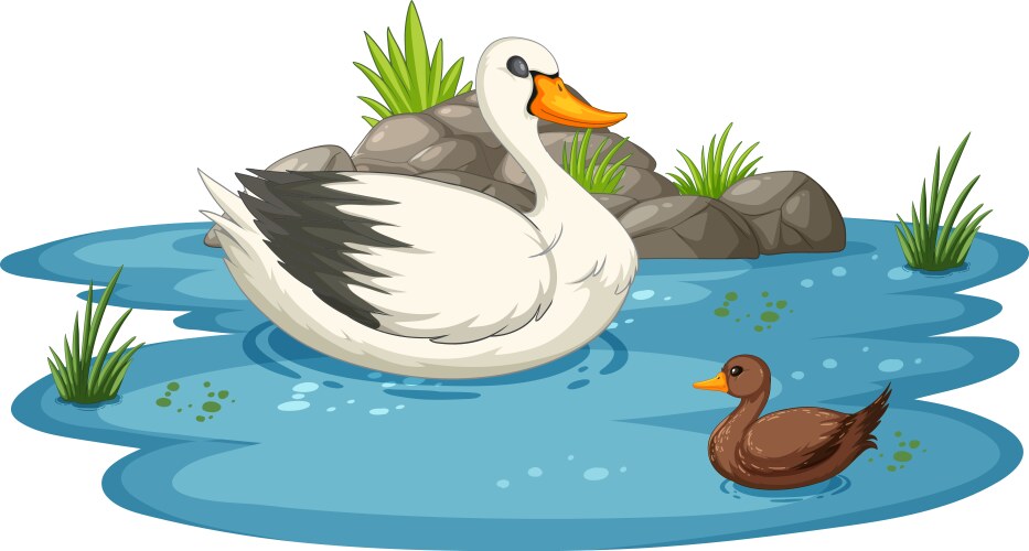 Pond Vector Images (over 29,000)