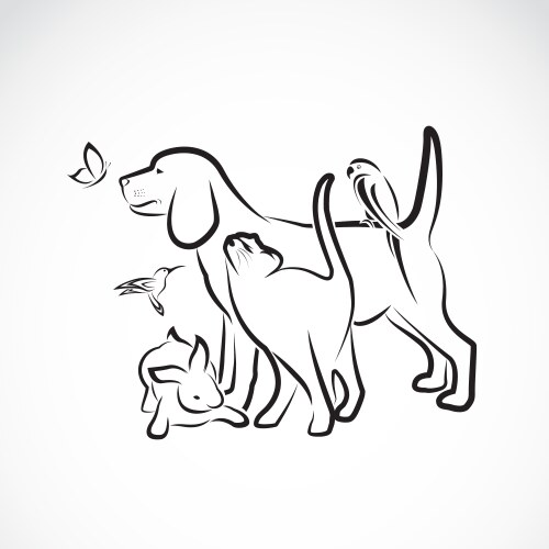 Group of pets Royalty Free Vector Image - VectorStock