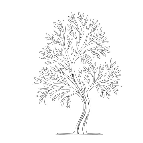 Willow tree nature outline sketch Royalty Free Vector Image
