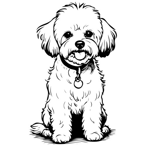 Realistic bichon frise portrait drawing Royalty Free Vector