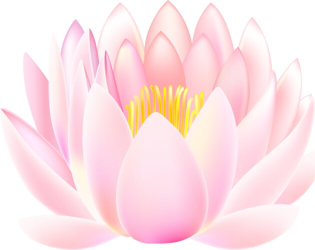 Lotus Vector Images (over 100,000)