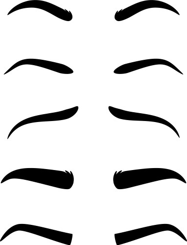 Set of female eyebrows in different shapes Vector Image