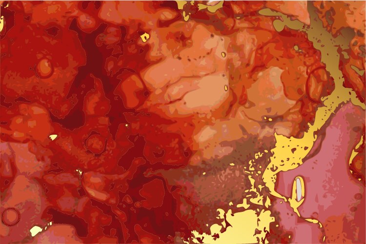 Red and Gold Wallpaper Vector Images (over 32,000)