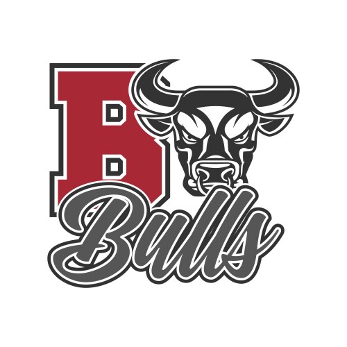 Bridgeport Bulls Logo