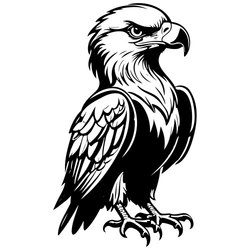 Realistic Eagle Vector Images (over 1,700)