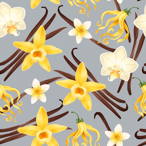 Vanilla flower pattern Royalty Free Vector Image