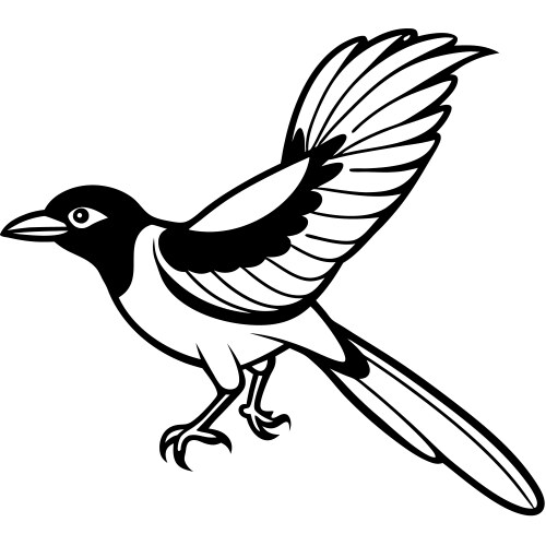 Magpie Vector Images (over 1,400)