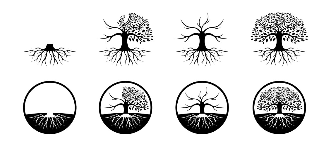 Oak Tree Roots Drawing