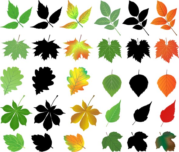 Leaves Vector Images (over 690,000)