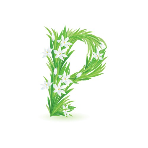 Spring flowers alphabet j Royalty Free Vector Image