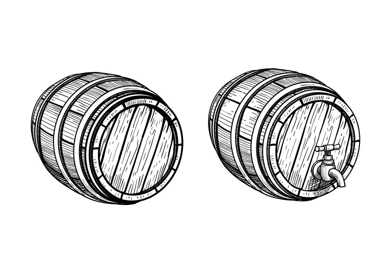 Oak barrel hand drawn wooden cask sketch Vector Image
